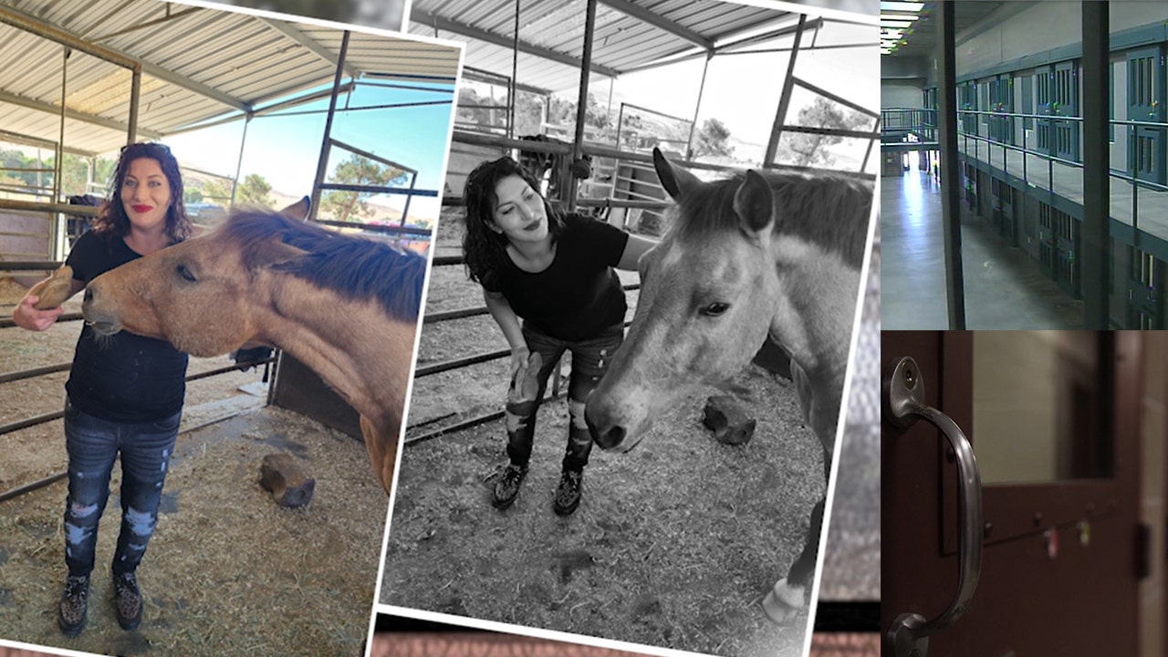 Pregnant in prison: Expectant mother says nutrition is inadequate at ...