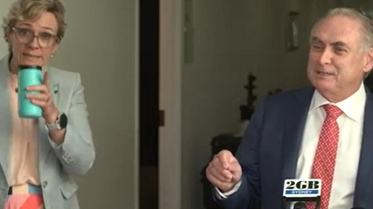 ‘Not true’: Teal MP’s clash with minister