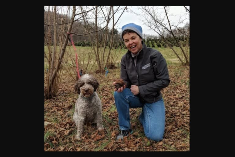 ‘Truffle dogs’ help sniff out two new truffle species