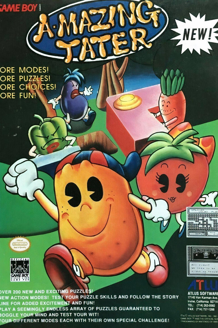 15 Rarest Game Boy Games, Ranked (With Prices)