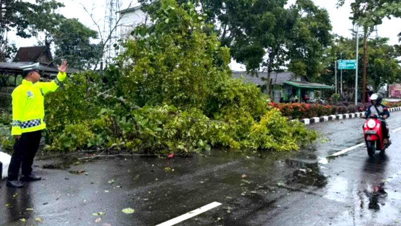 Angin Kencang Terjadi di Seruyan, BPBD Pastikan Tidak Ada Potensi ...