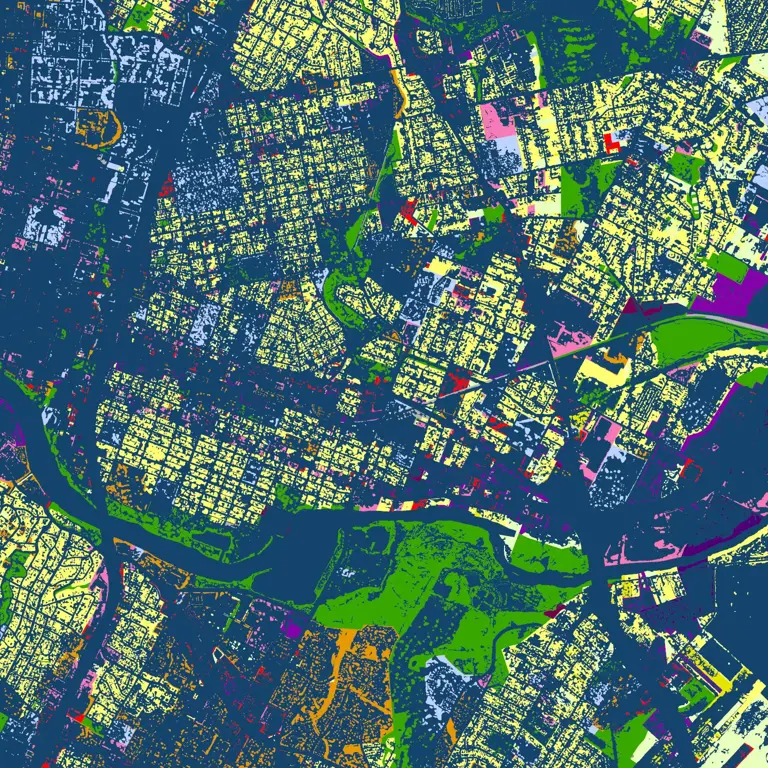 Austin’s Growing Urban Forests