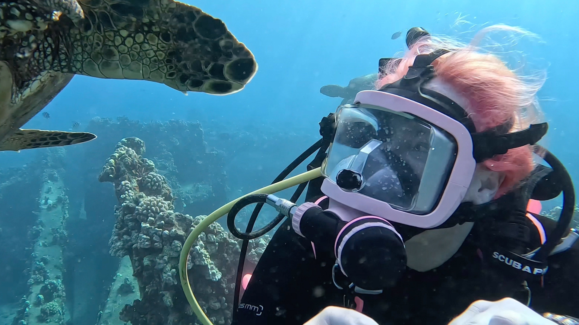 MSN Québec | Actualité, météo, horoscope, Outlook, Hotmail | MSN Canada