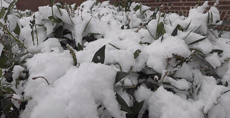 Has Delaware received more snow this winter than normal? It depends on ...
