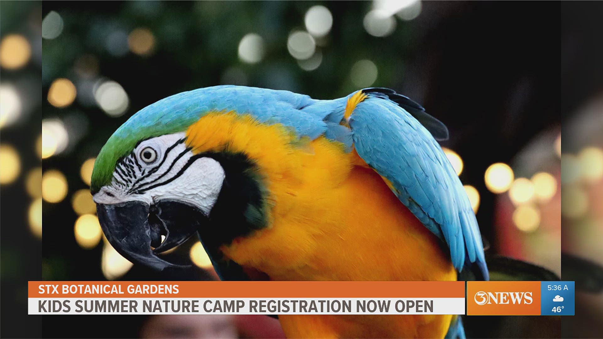 Kids summer nature camps open at the South Texas Botanical Gardens
