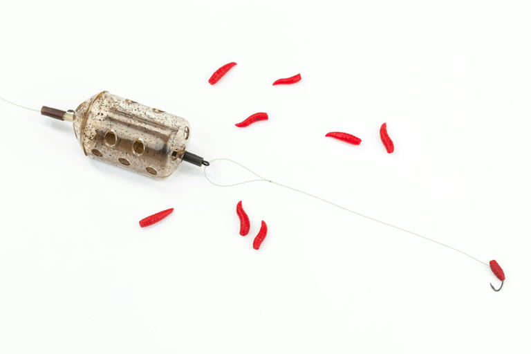 Use this bolt rig to catch specimen river roach