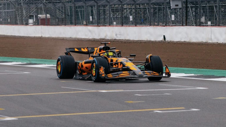McLaren F1 unveils MCL39 with striking one-off camouflage design