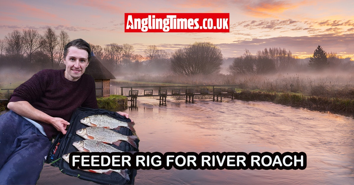 Use this bolt rig to catch specimen river roach