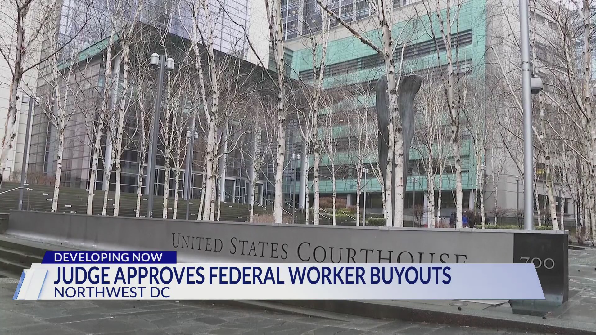 New federal judge ruling pushes Trump's proposed federal worker buyout ...