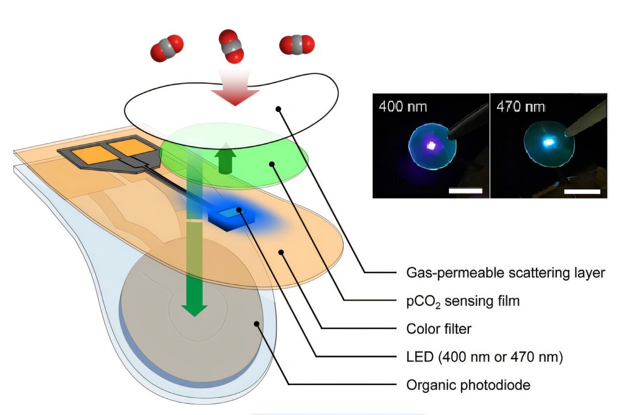 Wearable carbon dioxide sensor can enable real-time apnea diagnosis