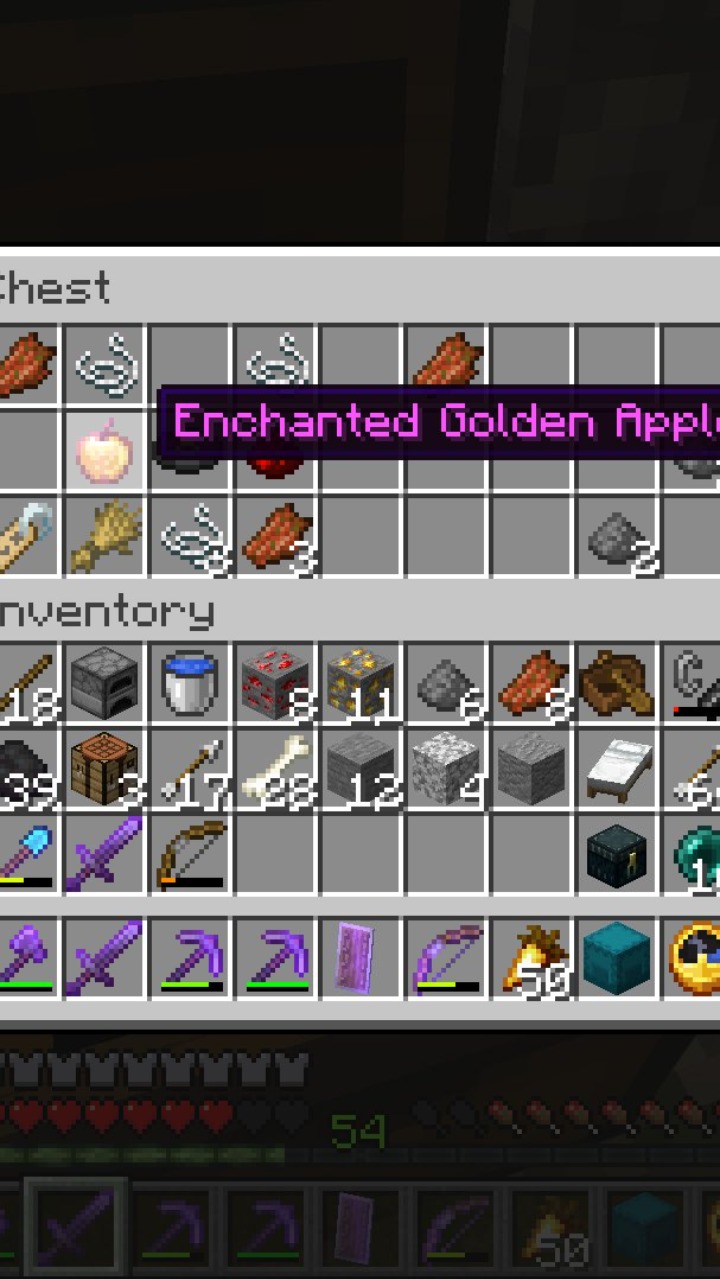 9 rarest Minecraft items that you may not know about