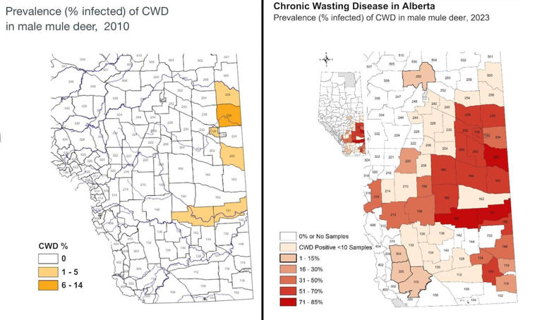 Chronic wasting disease has exploded through Alberta's deer population ...