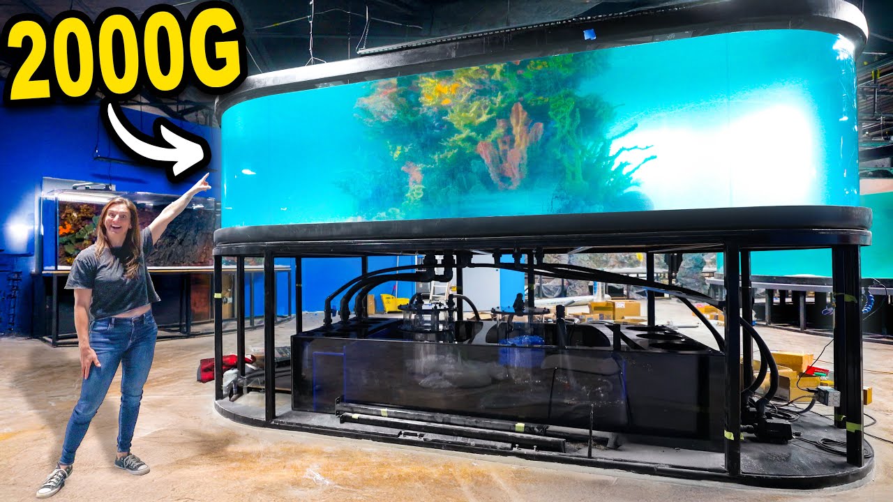 Finally Filling My 2,000G Fish Tank!