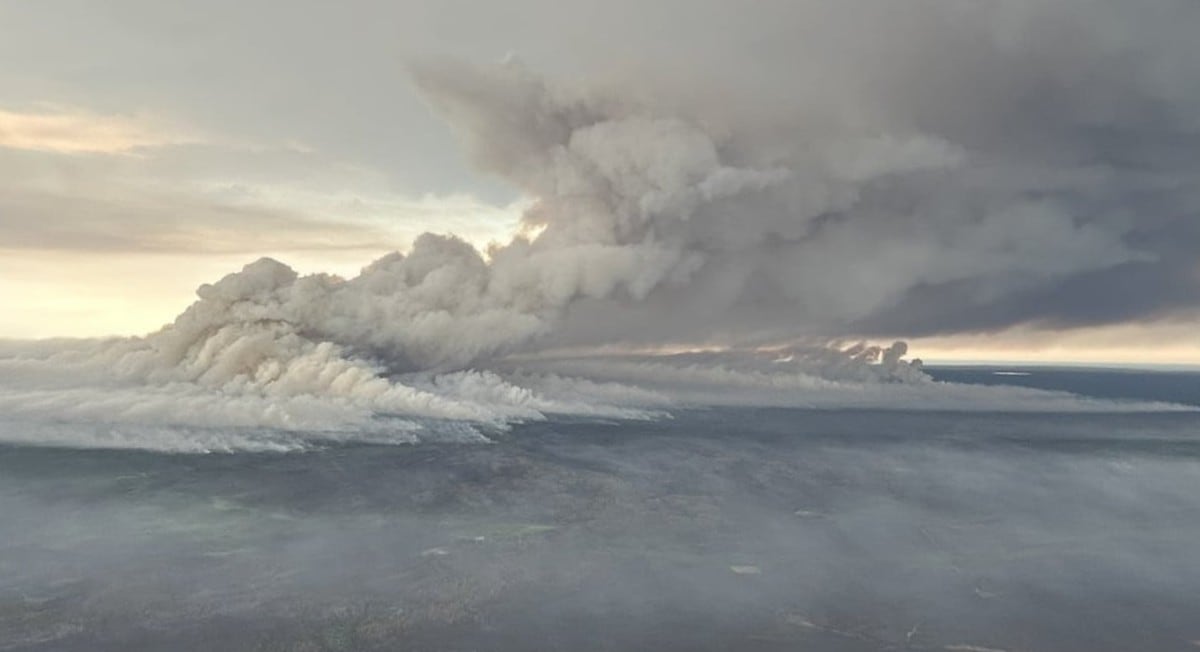 Work continues to reclaim Alberta land affected by 2024 fireguards