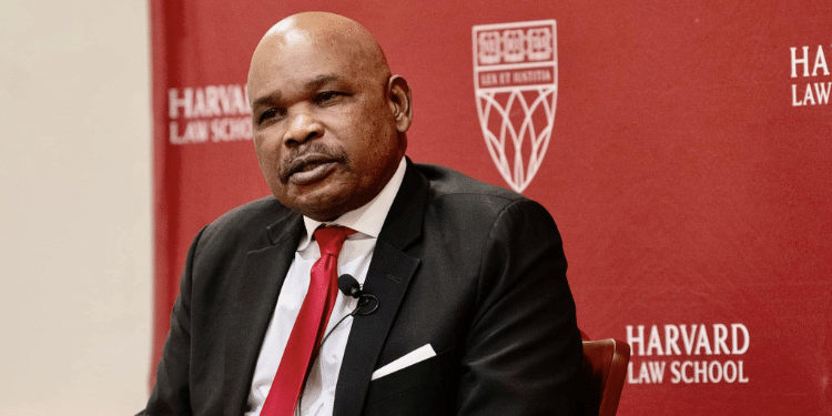 Makau Mutua Profile: Age, Education, Career, Family, and Net Worth