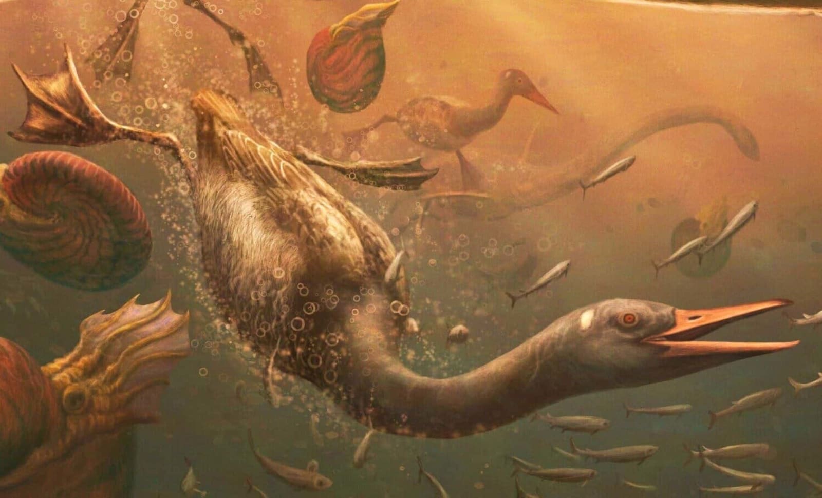 Paleontologists Discovered the Oldest Modern Bird Ever Found, Which ...