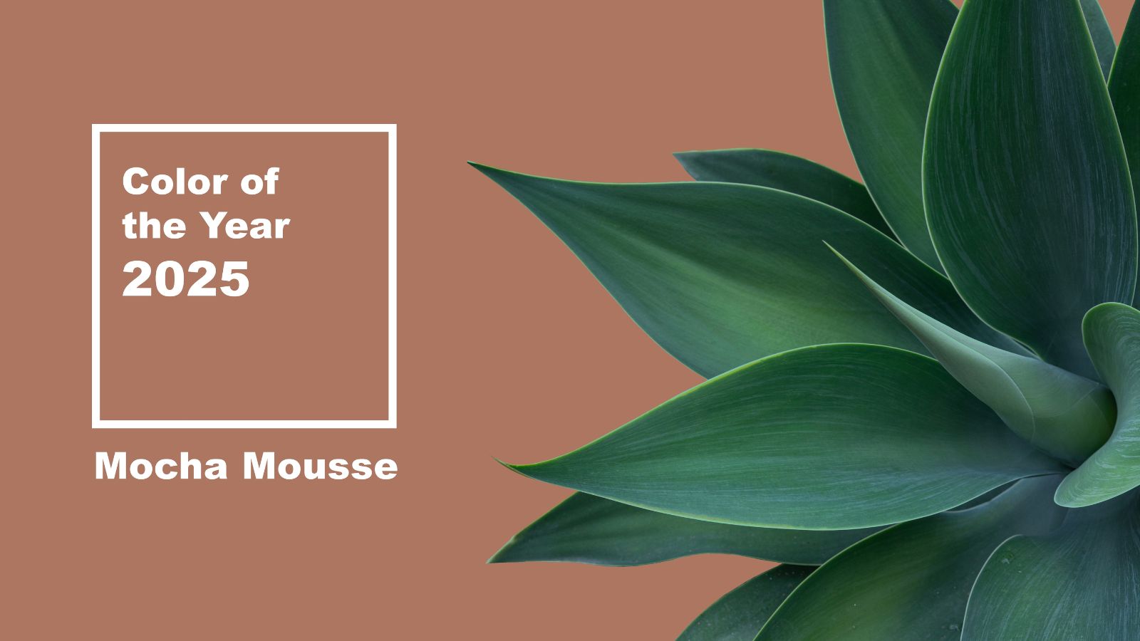 Create Cozy Spaces with Pantone’s 2025 Color Pick