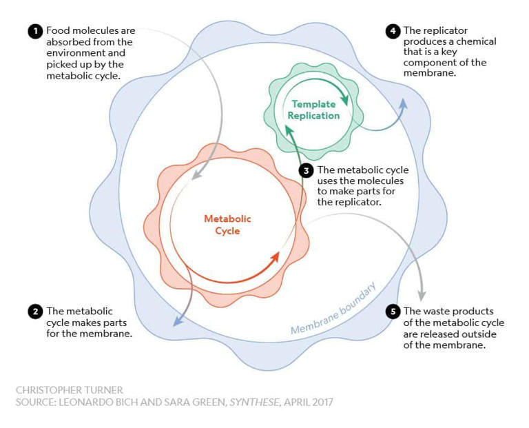 This Little-Known Scientist May Have Unlocked the Secret of Life’s ...