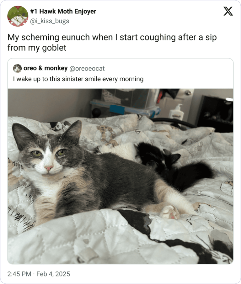 38 Funniest Quote Tweets Of The Week That Took Snarky Comebacks To Another Level