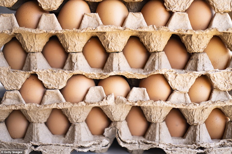Farmer reveals the truth of America's egg shortage