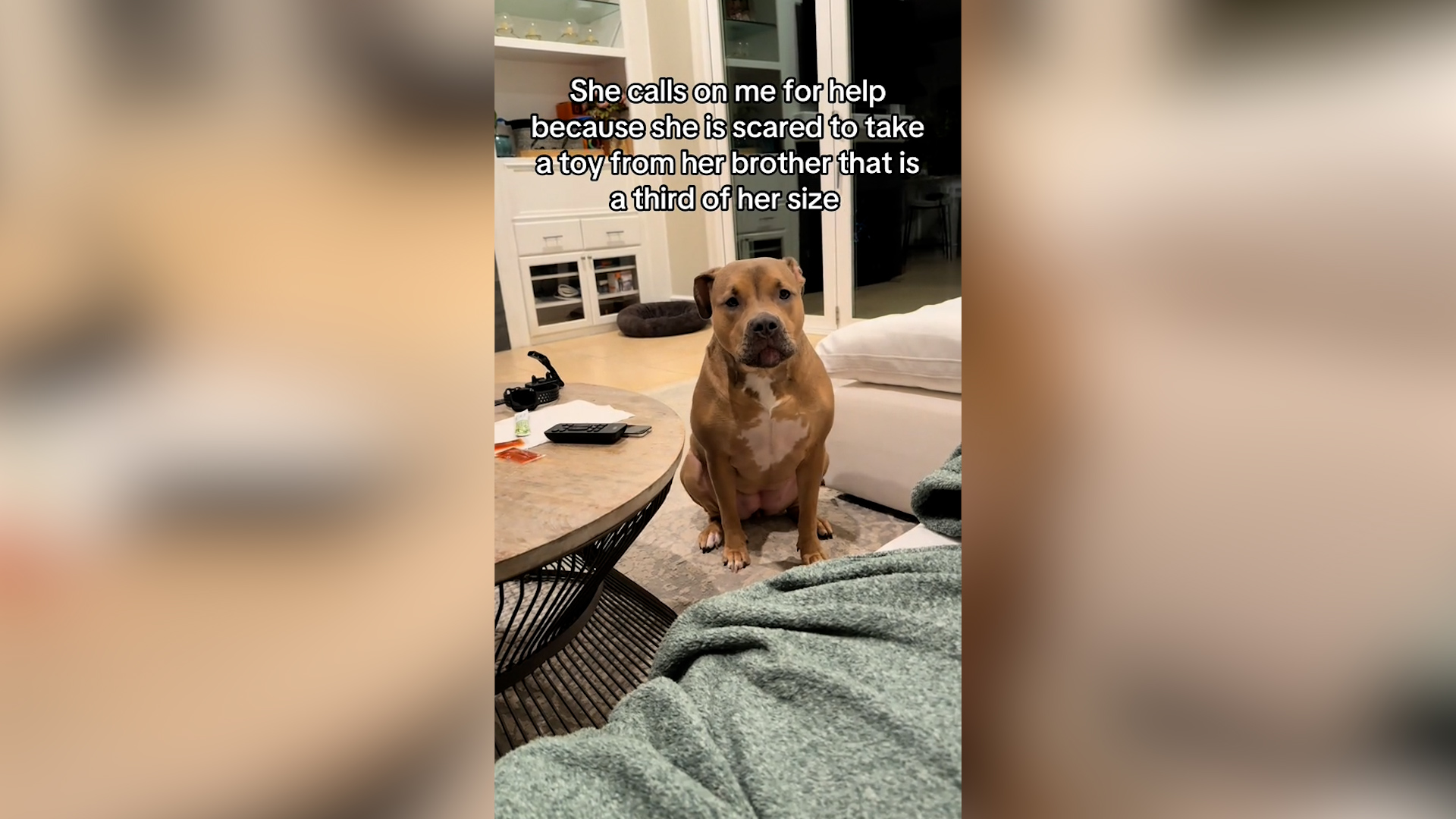 80-pound Dog Cries To Owner