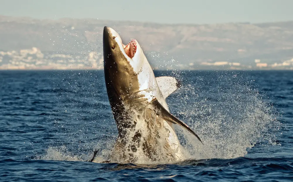 The Most Terrifying & Deadly Natural Predators On Earth