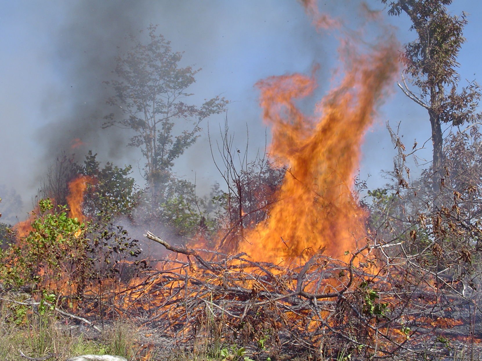 Virginia's spring burn ban goes into effect Saturday