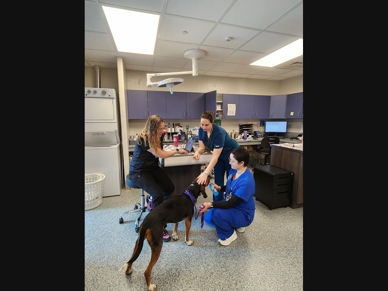 Veterinary Clinic License Approved For Prince William Animal Services