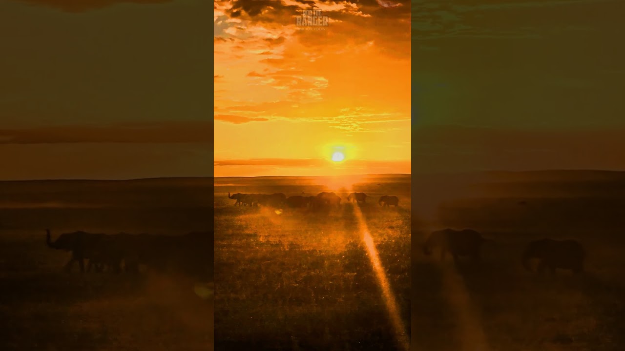 How Beautiful Was That Sunset Feel the African Heat