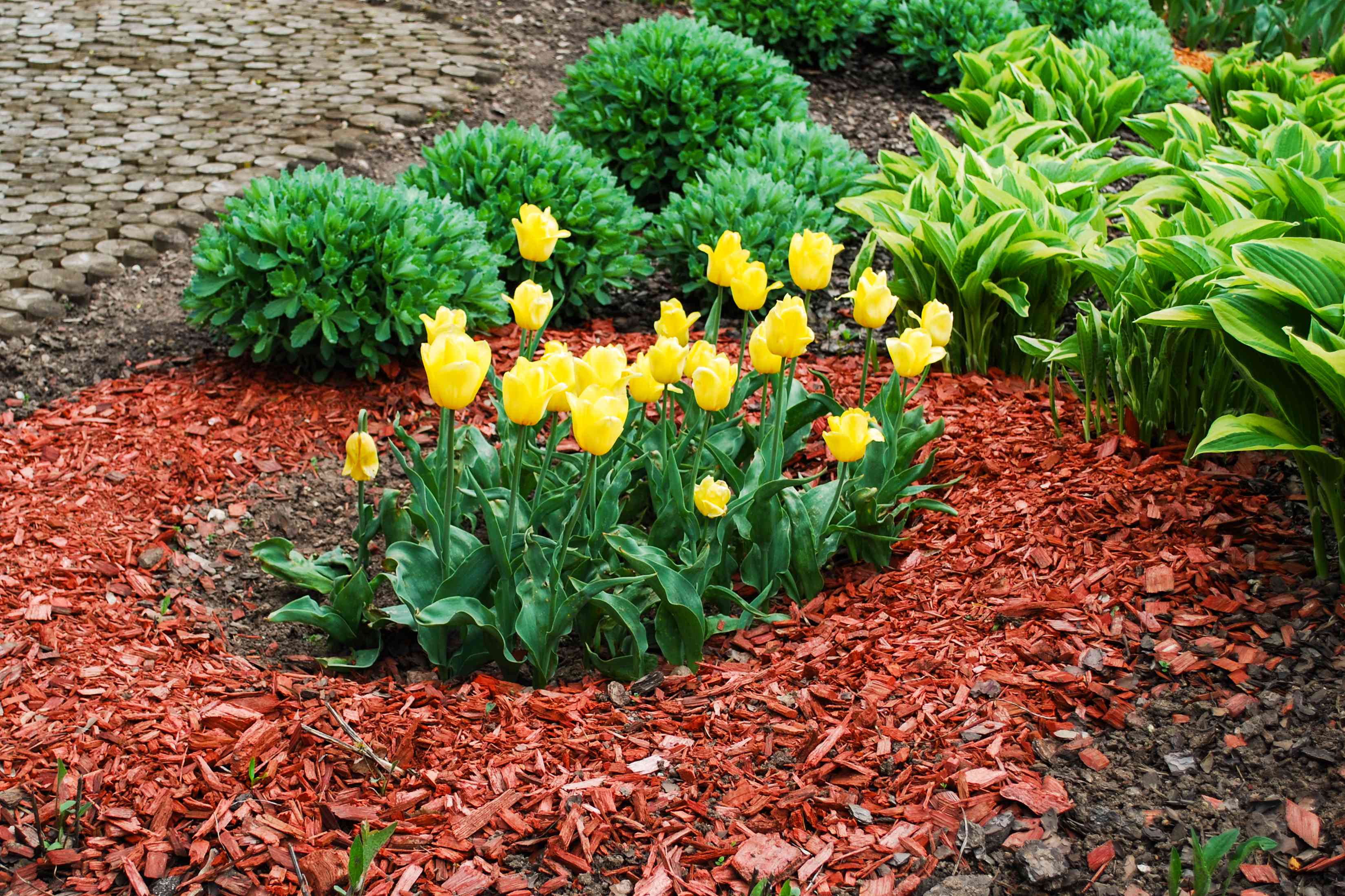 13 Types of Mulch—and How to Choose the Right One for Your Yard