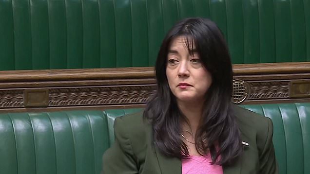 MP Sarah Owen says LGBT friends fought 'five blokes' to defend her from ...