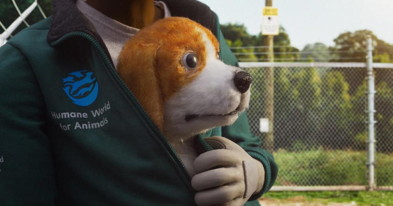 The Humane Society Has Rebranded With a New Name