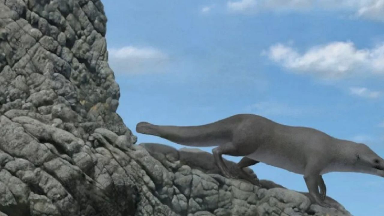 Perú: encuentran restos fósiles de una milenaria ballena de cuatro patas