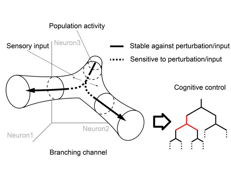 Branching channels: How tree-structured representations in the brain ...