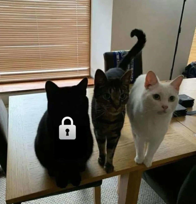 32 Funny Zero Context Pictures That'll Make You Say "Hmmm" Because ...