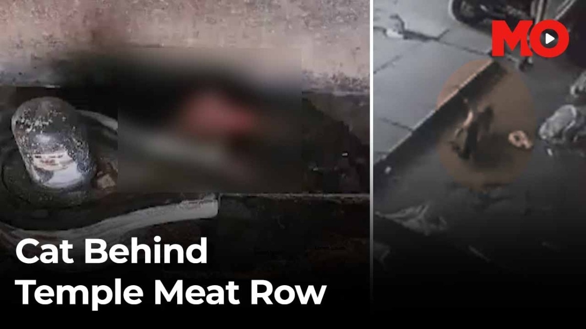 Meat found inside Hyderabad temple. CCTV reveals who carried It