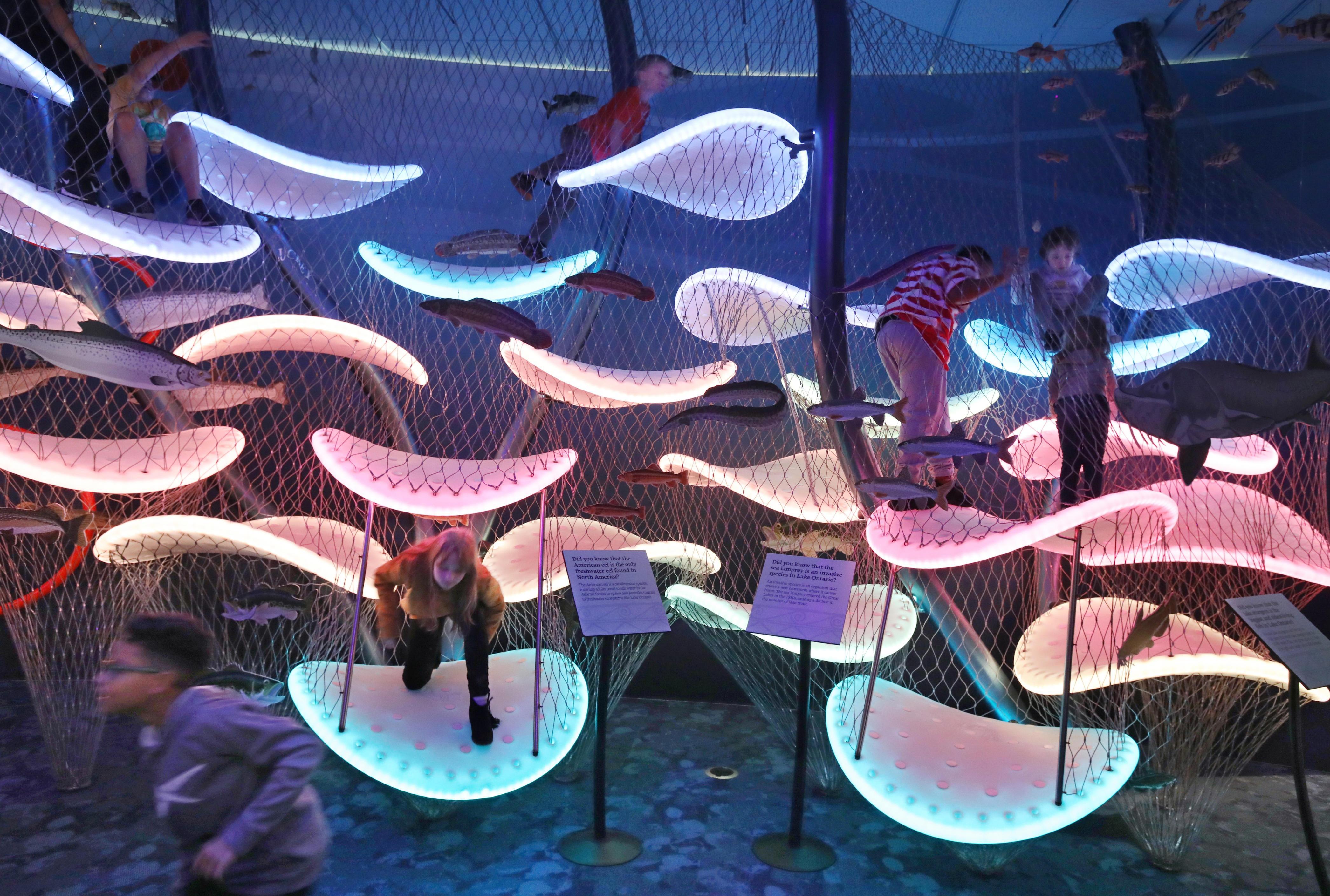 Discover 7 ways to make the most of February break in Rochester