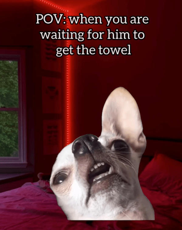 42 Spicy And Funny Relationship Memes To Set The Mood For Valentine’s Day