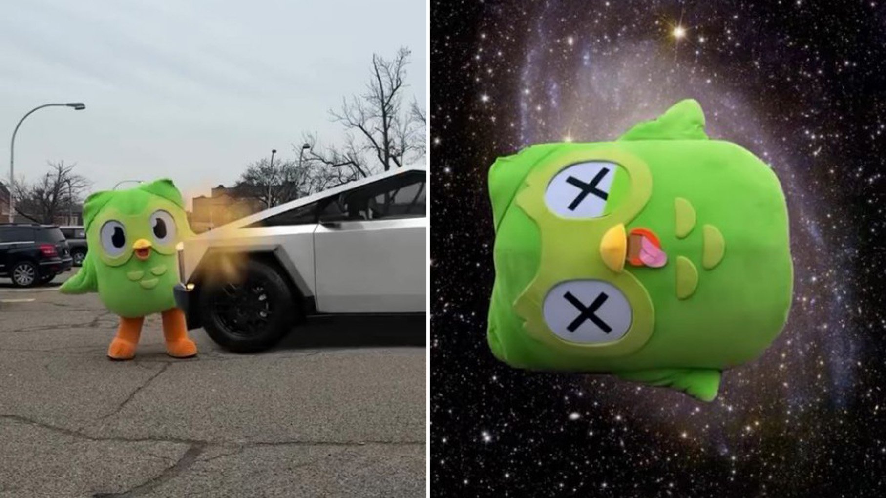 Duolingo owl 'killed' after Tesla Cybertruck crashes into mascot
