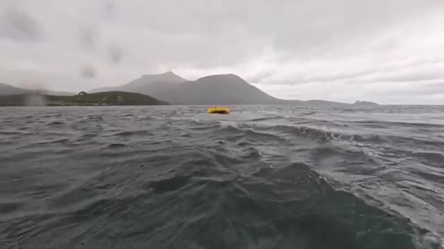 Watch: Kayaker swallowed whole by humpback whale off Chile coast