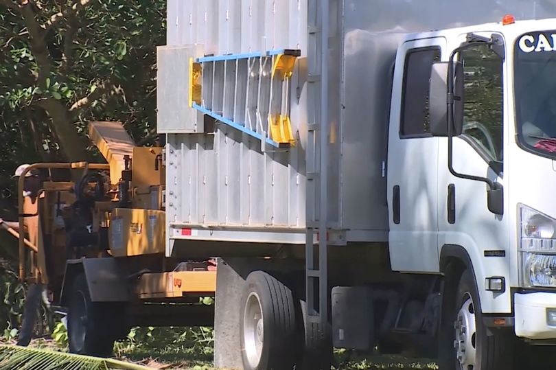 Florida tree trimmer killed falling head first into wood chipper in ...