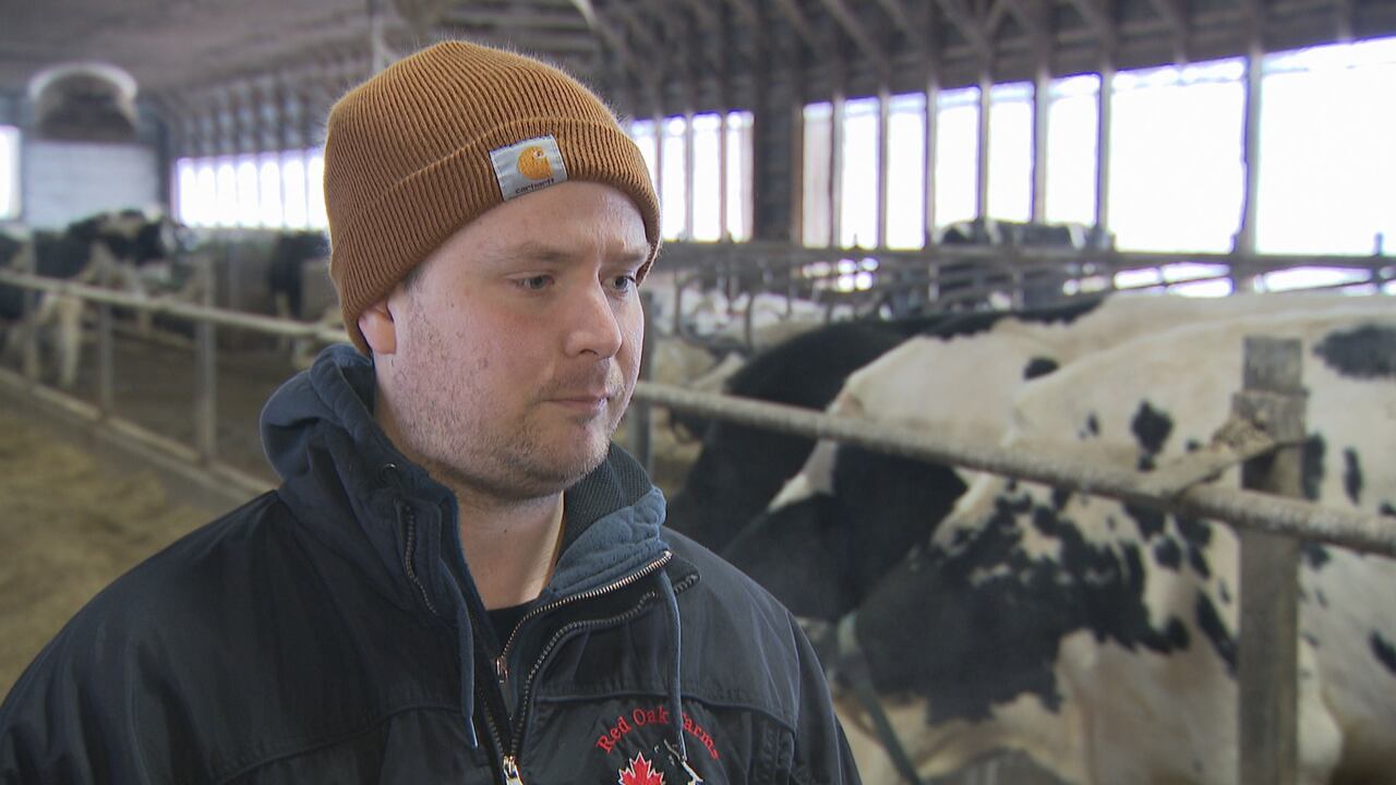 New climate change plan launched for P.E.I. farmers