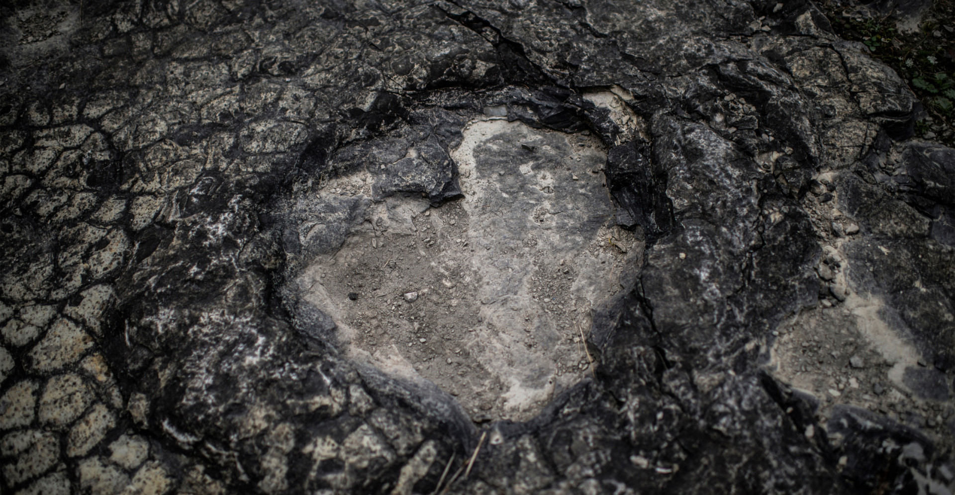 Top destinations around the world to see dinosaur tracks