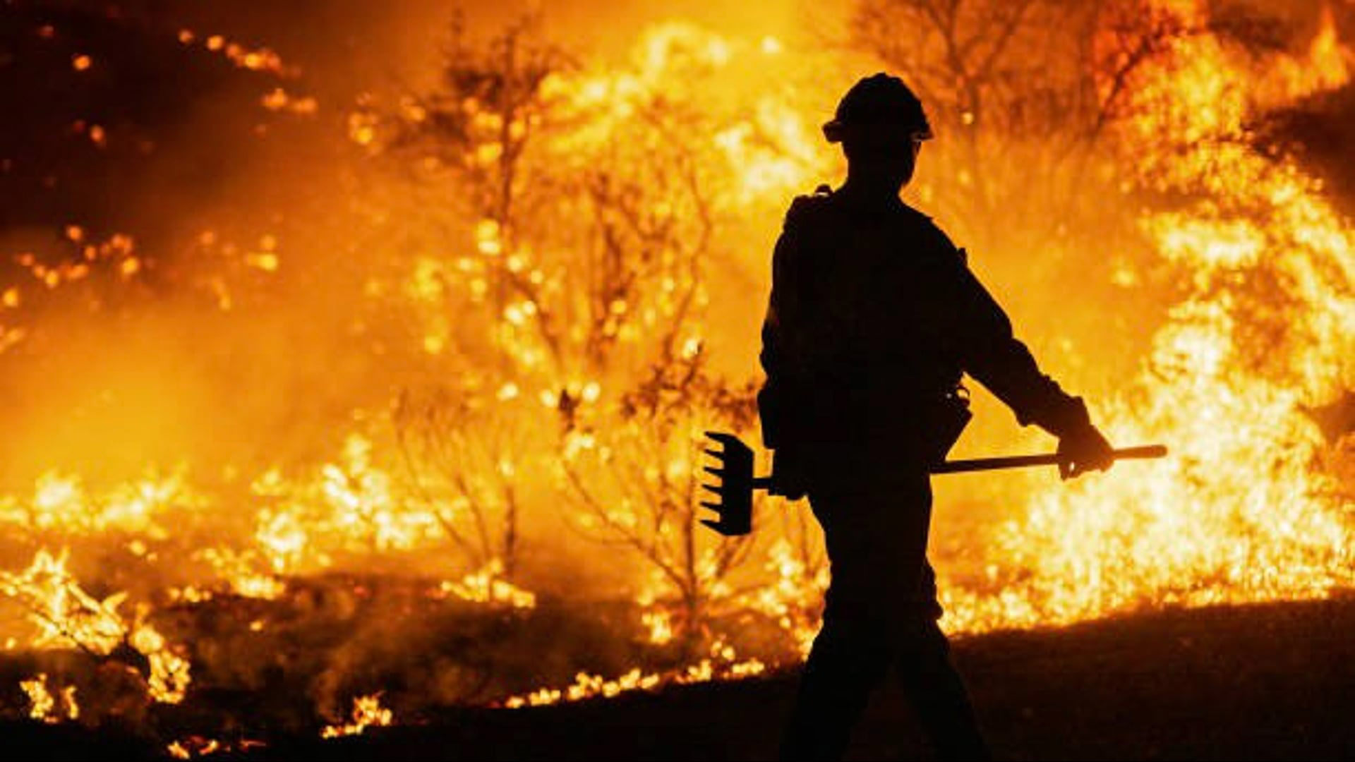 Can Wildfire Smoke Damage Your Brain? What You Need To Know Can Wildfire Smoke Damage Your Brain? What You Need To Know