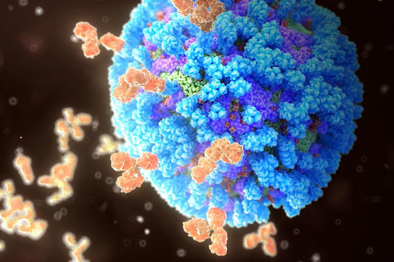 What is Rhinovirus and its symptoms as cases soar in children across the UK