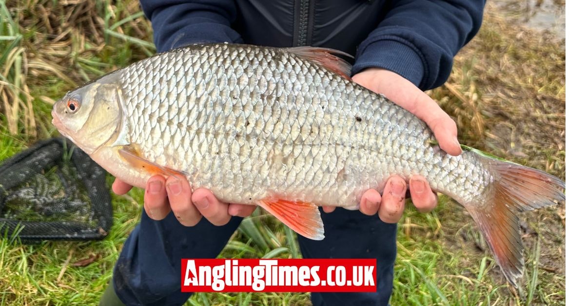 Sensational river roach haul for 10-year-old angler