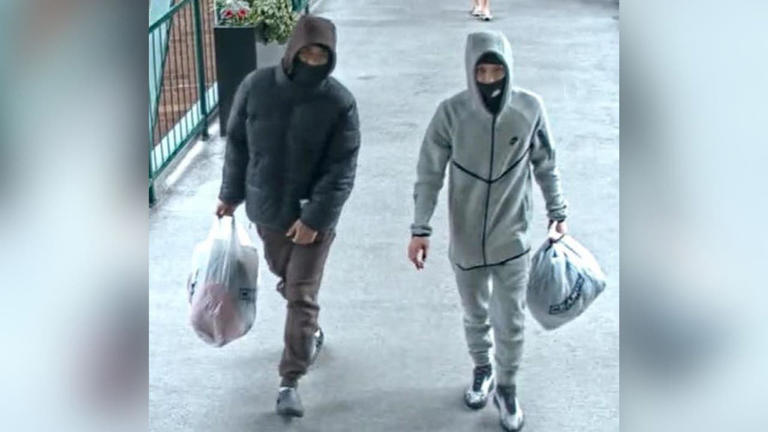 18-year-old arrested in connection to multiple strong arm robberies in WA