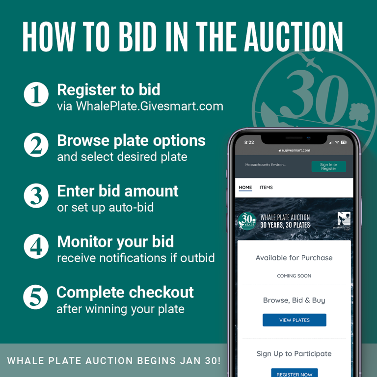 Want a low-number Mass. license plate? Enter this auction to benefit a ...