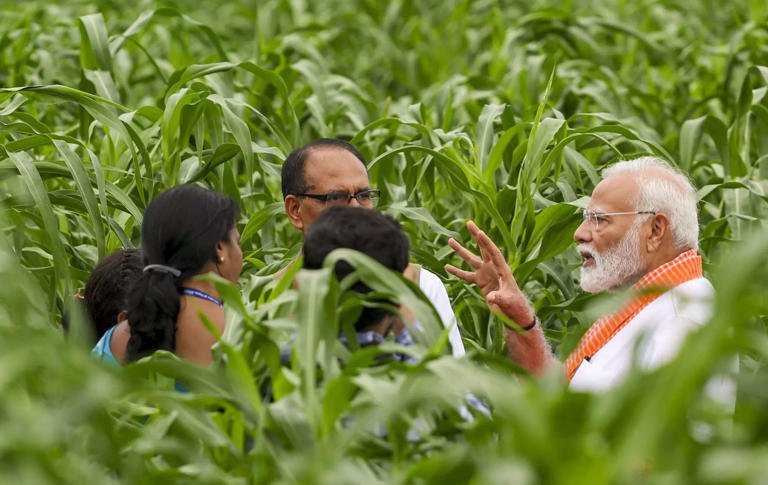 India needs to develop climate-resilient crop varieties: Economic Survey