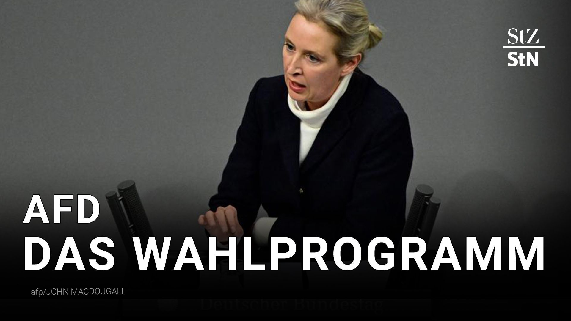 Bundestagswahl 2025: Das Wahlprogramm der AfD